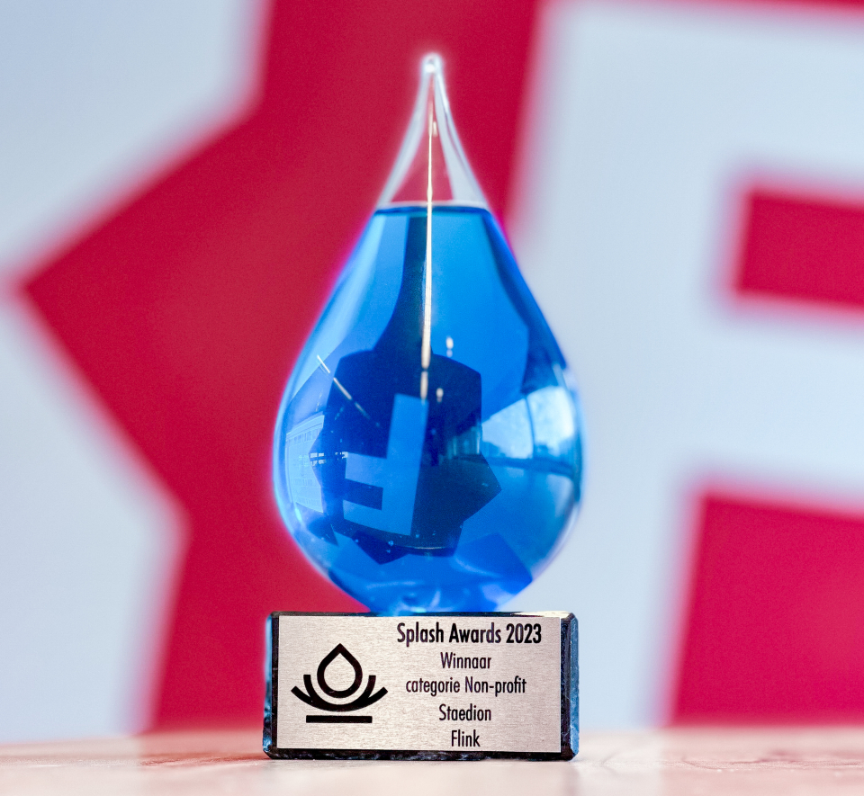 Flink wint Splash Award met nieuwe website van Staedion | Flink